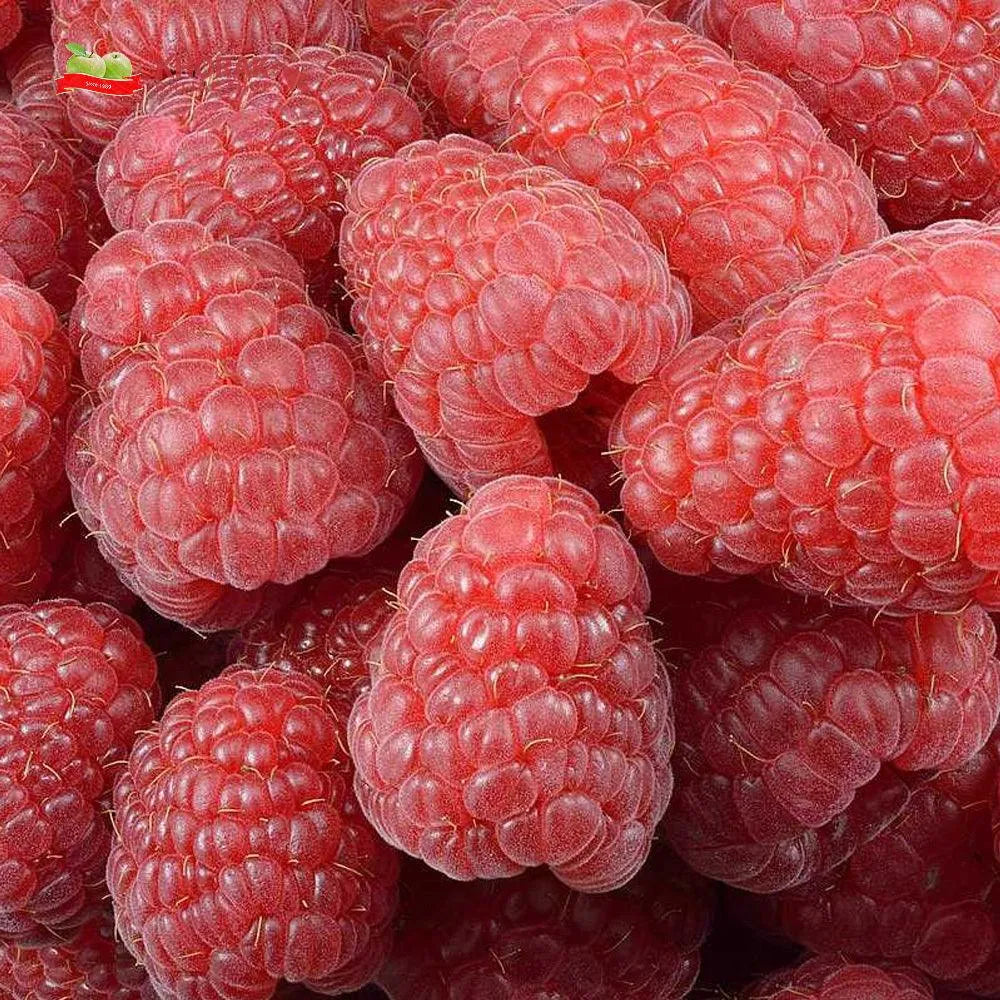 Organic Raspberry – Khorak Supermarket